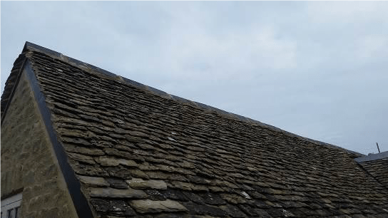 Pin & Wire Installation - Bird Proofing - Total Pest Control UK